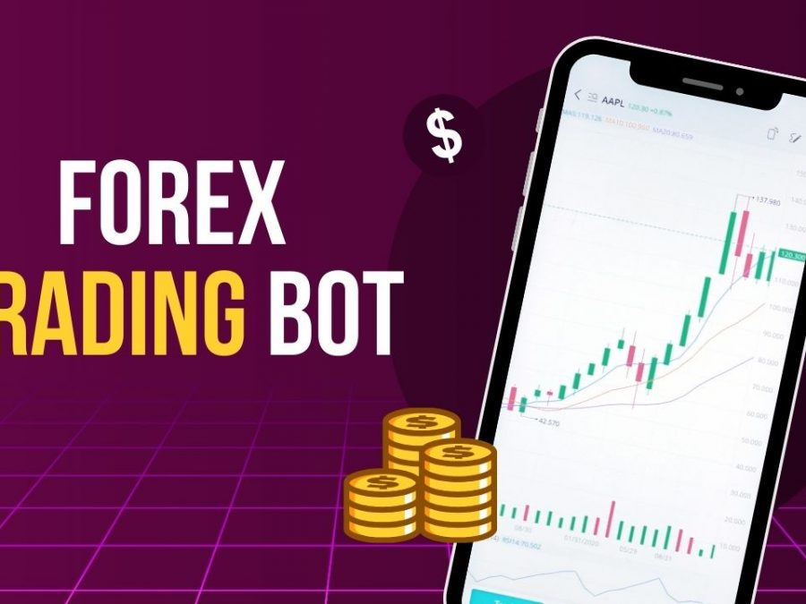 What Is a Lot in Forex? Beginner's Guide to Trading Sizes