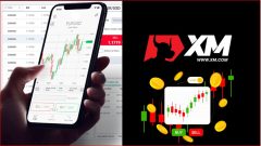 Top 5 Best Forex Trading Software Providers 2025