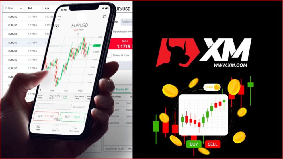 Top 5 Best Forex Trading Software Providers 2025